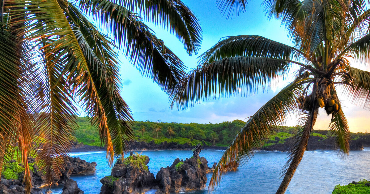 Discover Maui Luxury Properties for Sale | Tyler Coons Maui